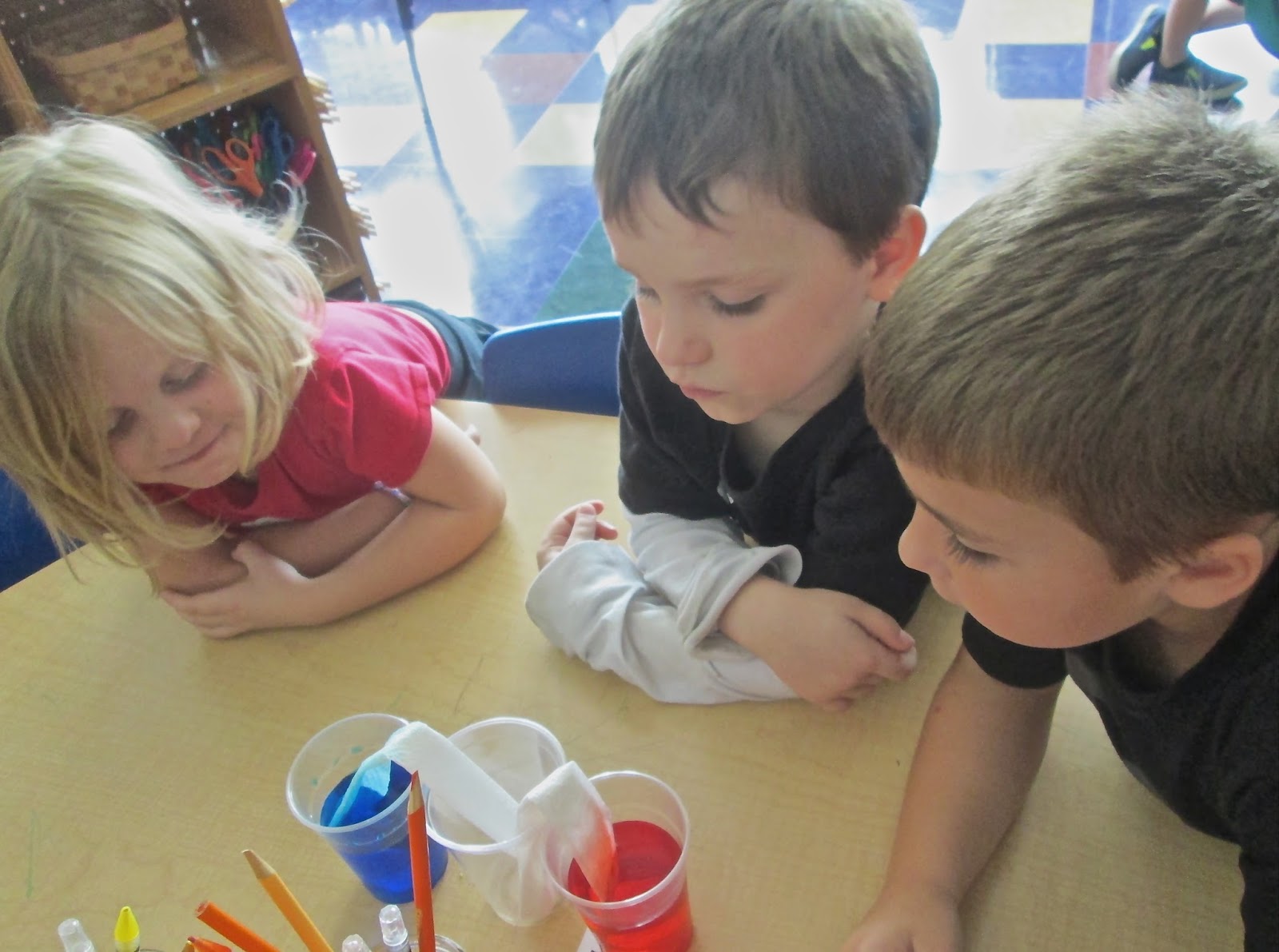 Mrs. Garrabrant's Classroom: Leaf Pictures, Purple Experiment, Library ...