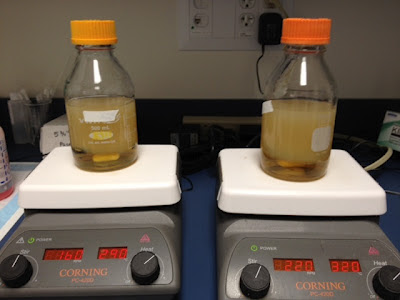 RRResearch: How our lab neighbors melt their agar media