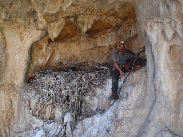 «ΤΟ ΒΛΕΜΜΑ ΤΗΣ ΘΟΥΛΗΣ» thoulisidiropoulou@gmail.com: ΓΕΝΝΗΤΟΥΡΙΑ ΣΤΑ ...