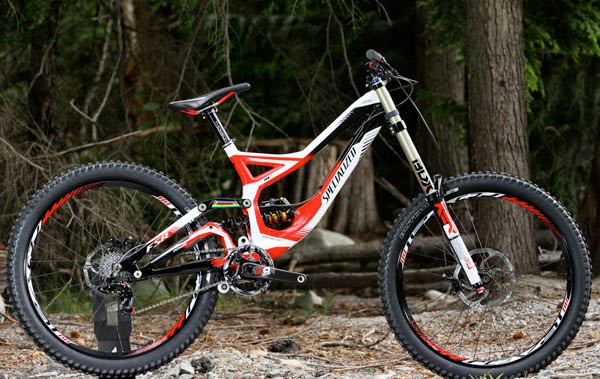 Specialized History: Specialized History