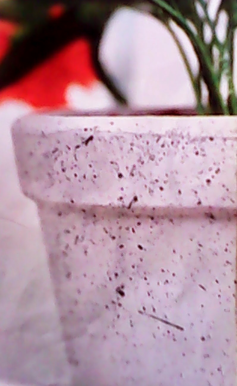 Cara Membuat Pot Batu Alam Dengan Mudah - Guntur Sapta Blog