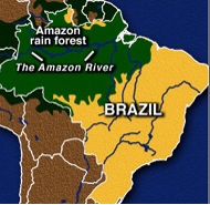 Geog 5 Lab 1G Final Projects: Amazon Rainforest of Brazil