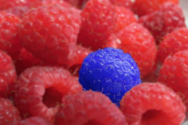 Emma Peterson Media Arts: Unity, Repetition, Balance, Rhythm, Contrast ...