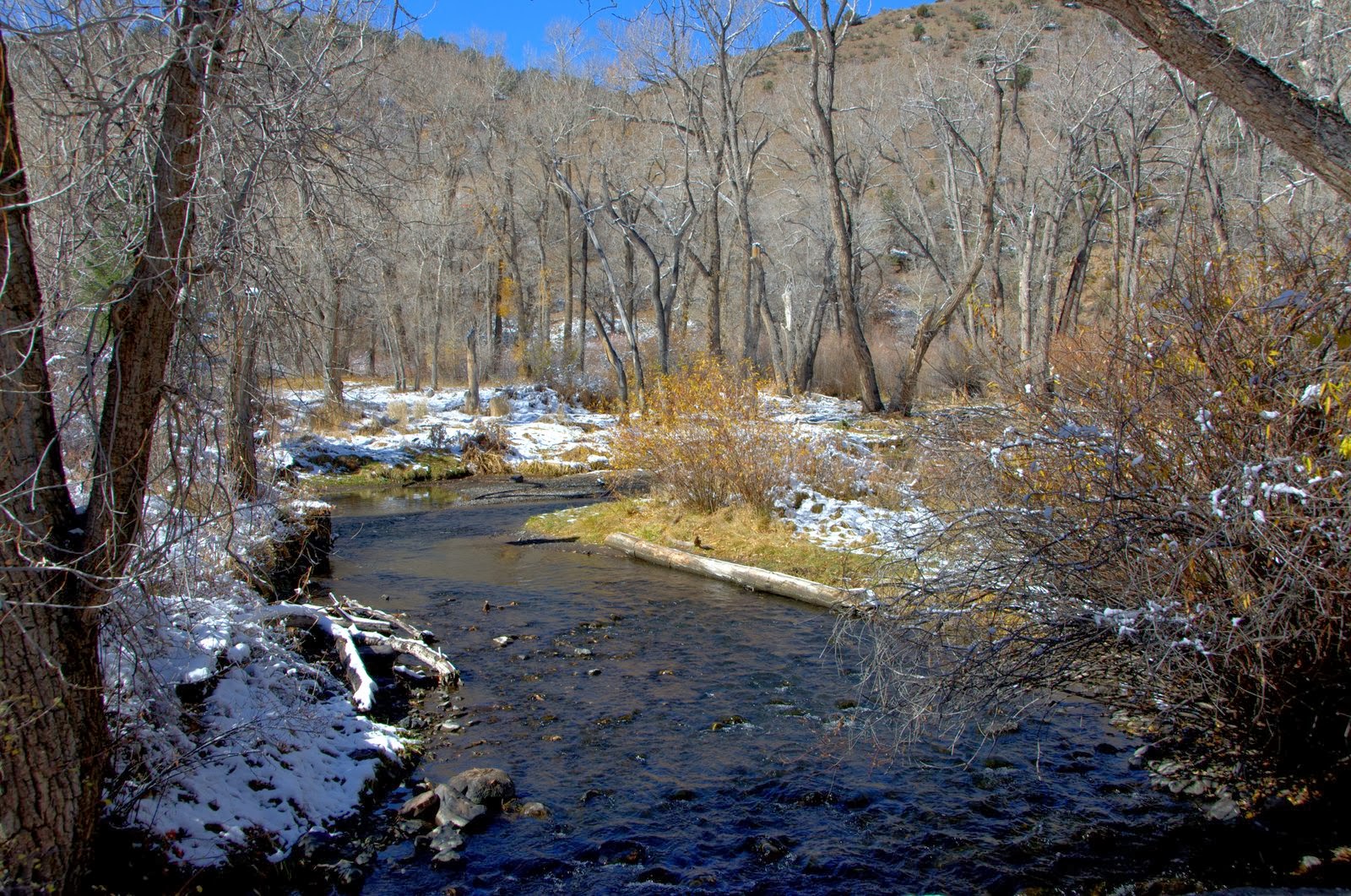 Being Where We Are : Being Where We Are at Cimarron Canyon State Park
