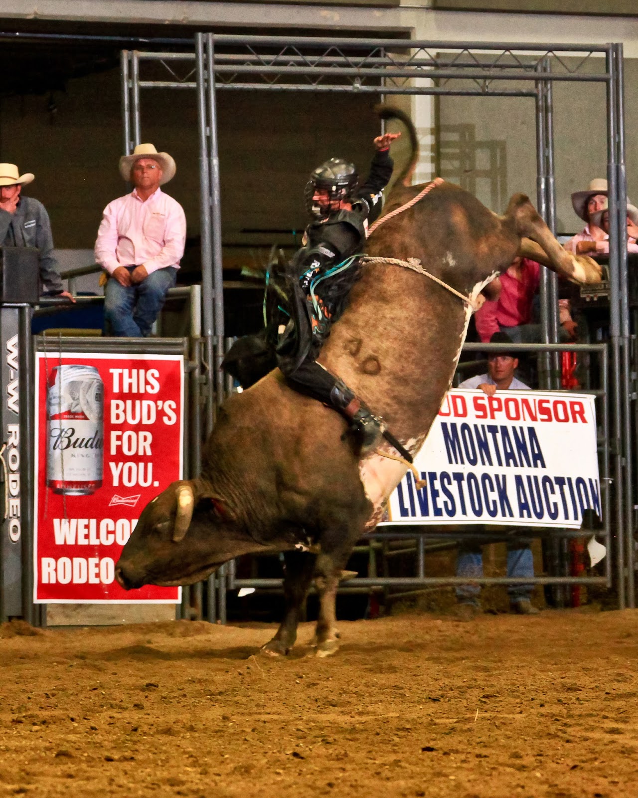 Northern Rodeo Association: Meet Your 2015 Bull Riding Champion