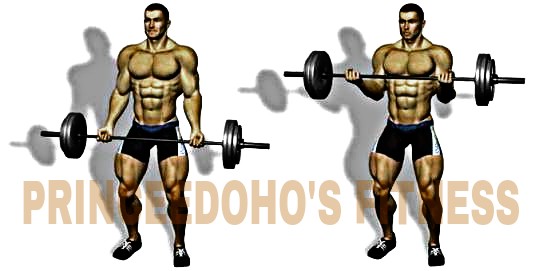 EXECUTING A PROPER REGULAR BICEPS CURLS