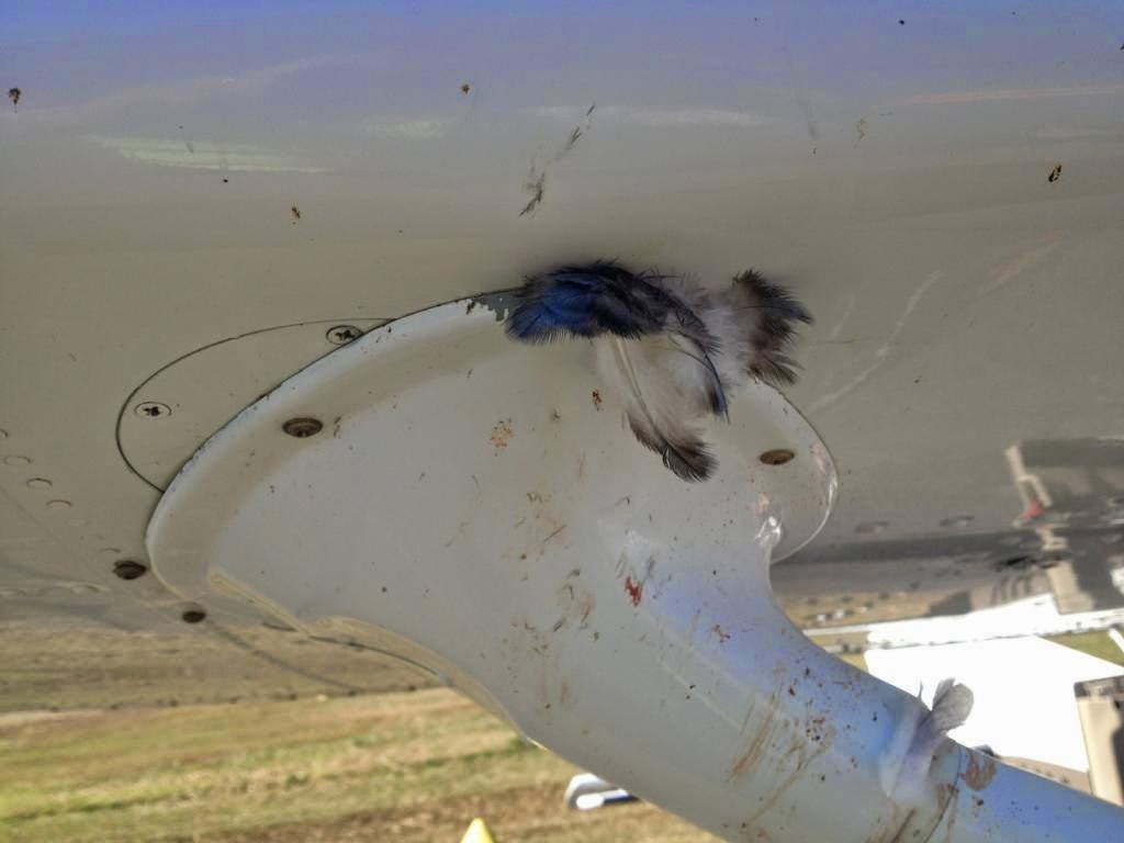 Central Queensland Plane Spotting: Graphic Photos of the Aftermath of a ...