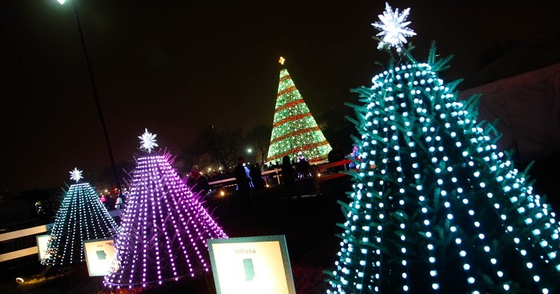 One Photograph a Day: National Christmas Tree