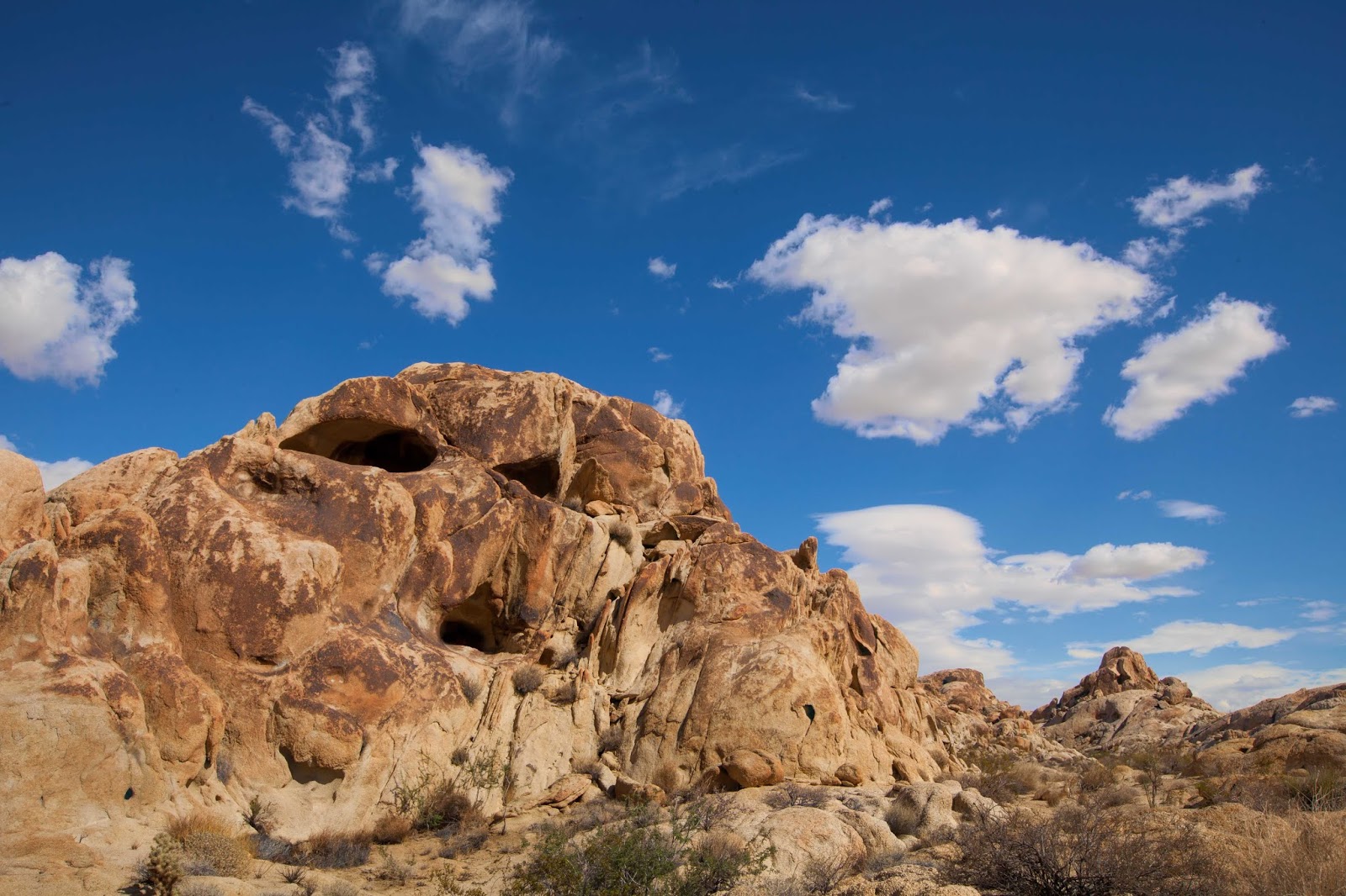 Spare Parts and Pics: Spooky Desert Things...