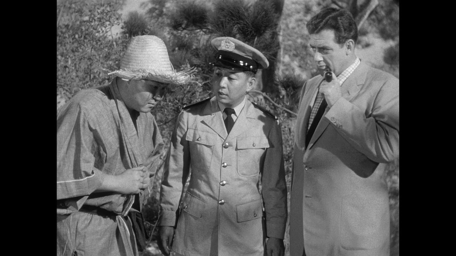 Mr. Stone Blu Ray und Film Reviews: Godzilla, King Of The Monsters ...