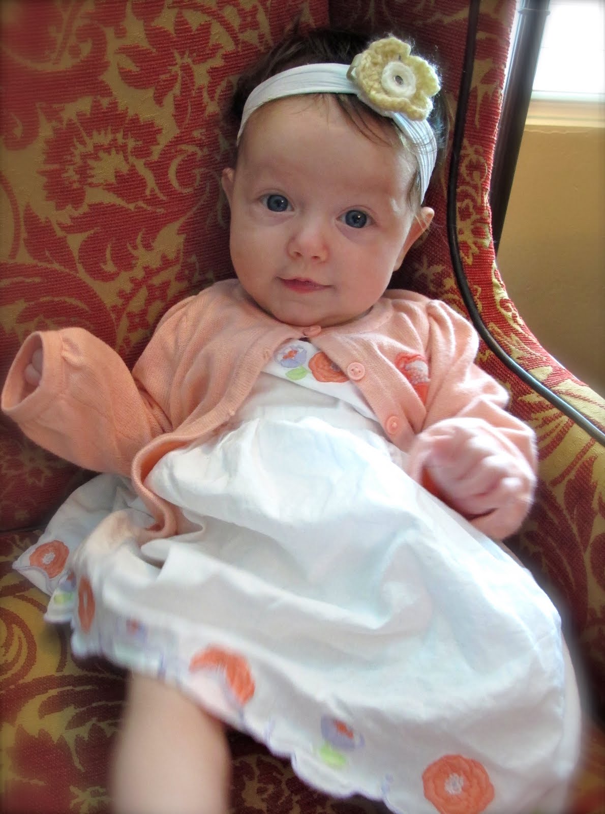 The Timms Family: Our Little Piper