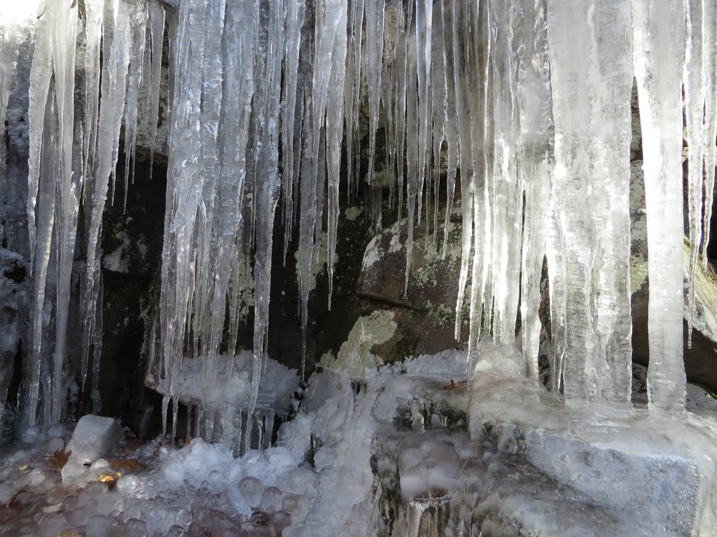 Skookum Traveler: Big Ridge and Cranny Crow (WV)