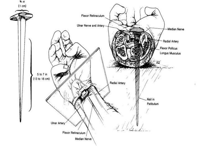 ¿Qué fue lo que en verdad sucedió con Jesús en la cruz?