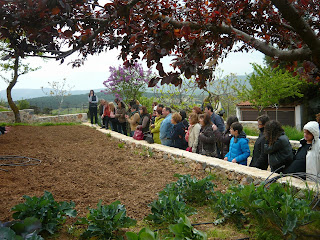 ΣΧΟΛΙΚΟΙ ΛΑΧΑΝΟΚΗΠΟΙ : ΟΙ ΚΗΠΟΙ ΤΩΝ ΣΧΟΛΕΙΩΝ ΤΗΣ Δ/ΣΗΣ Β/ΘΜΙΑΣ ΕΚΠ/ΣΗΣ ...