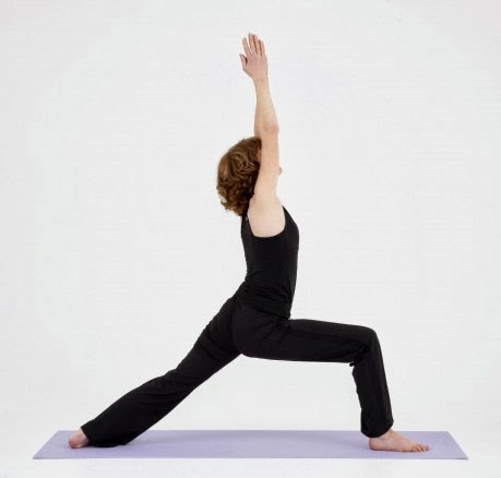 lilmissjen: The Warrior Poses, and why they are cool.