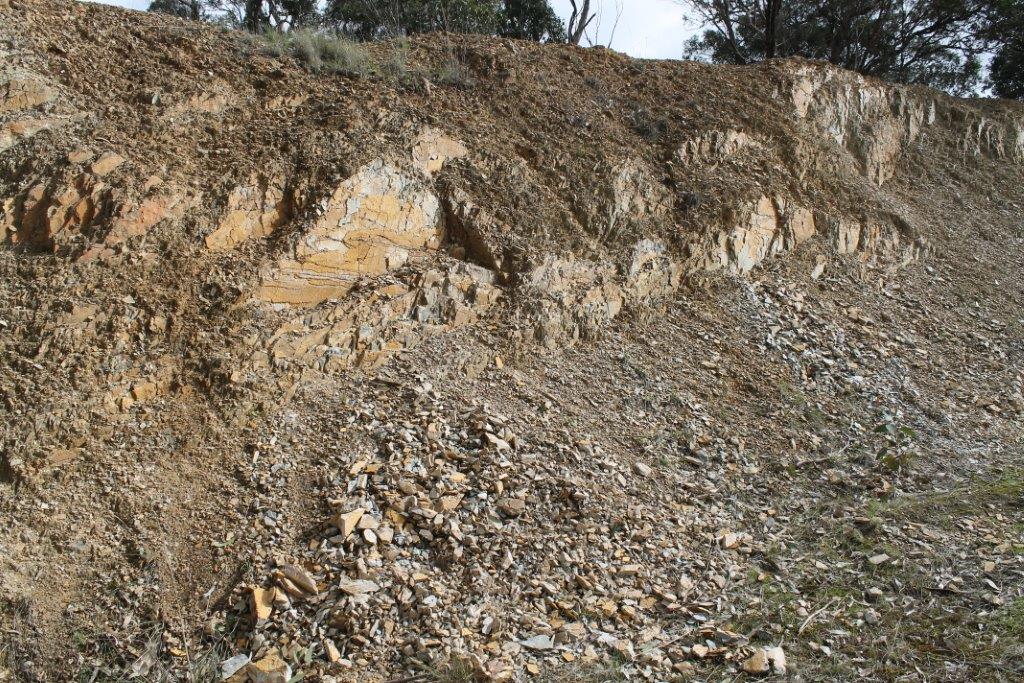 BONE ROOMS: Yea, Victoria