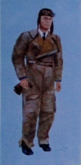 FILANAVAL: FUERZA AÉREA DE CHILE ( FACH ) Historia