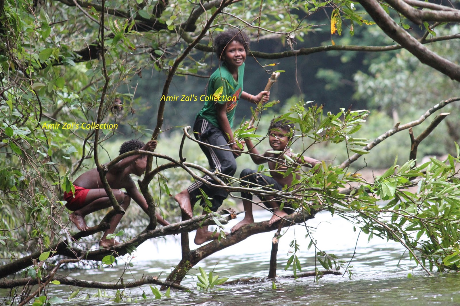 PERJALANAN NAN INDAH...: ORANG ASLI BATEK / BATEQ ; KOMUNITI SEMINOMAD ...