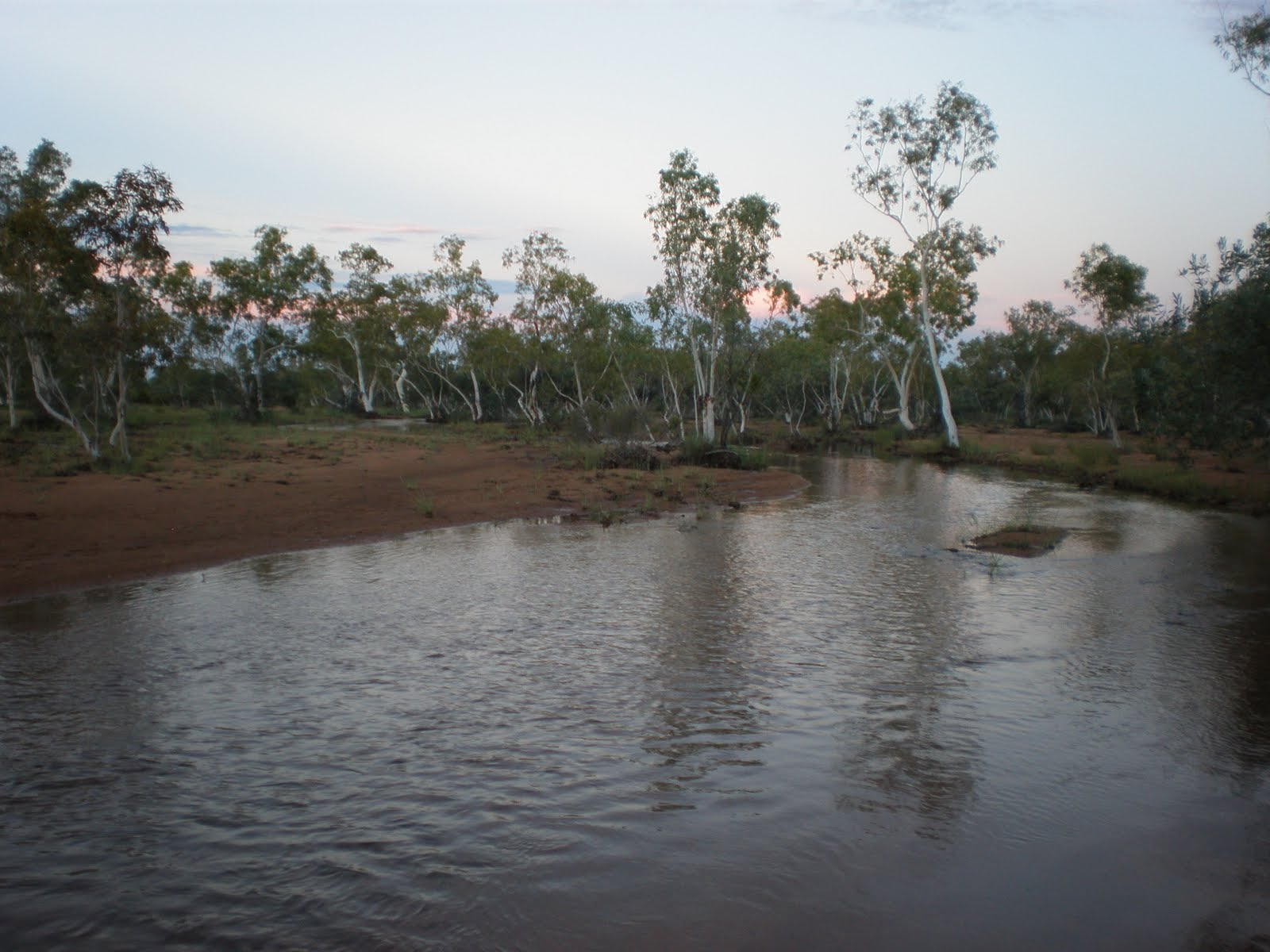 Love must be sincere: Willowra Blues