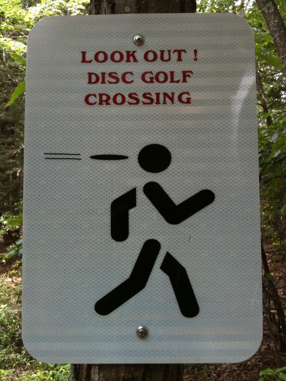Disc Golf Course Rules Sign at Elaine Osborn blog