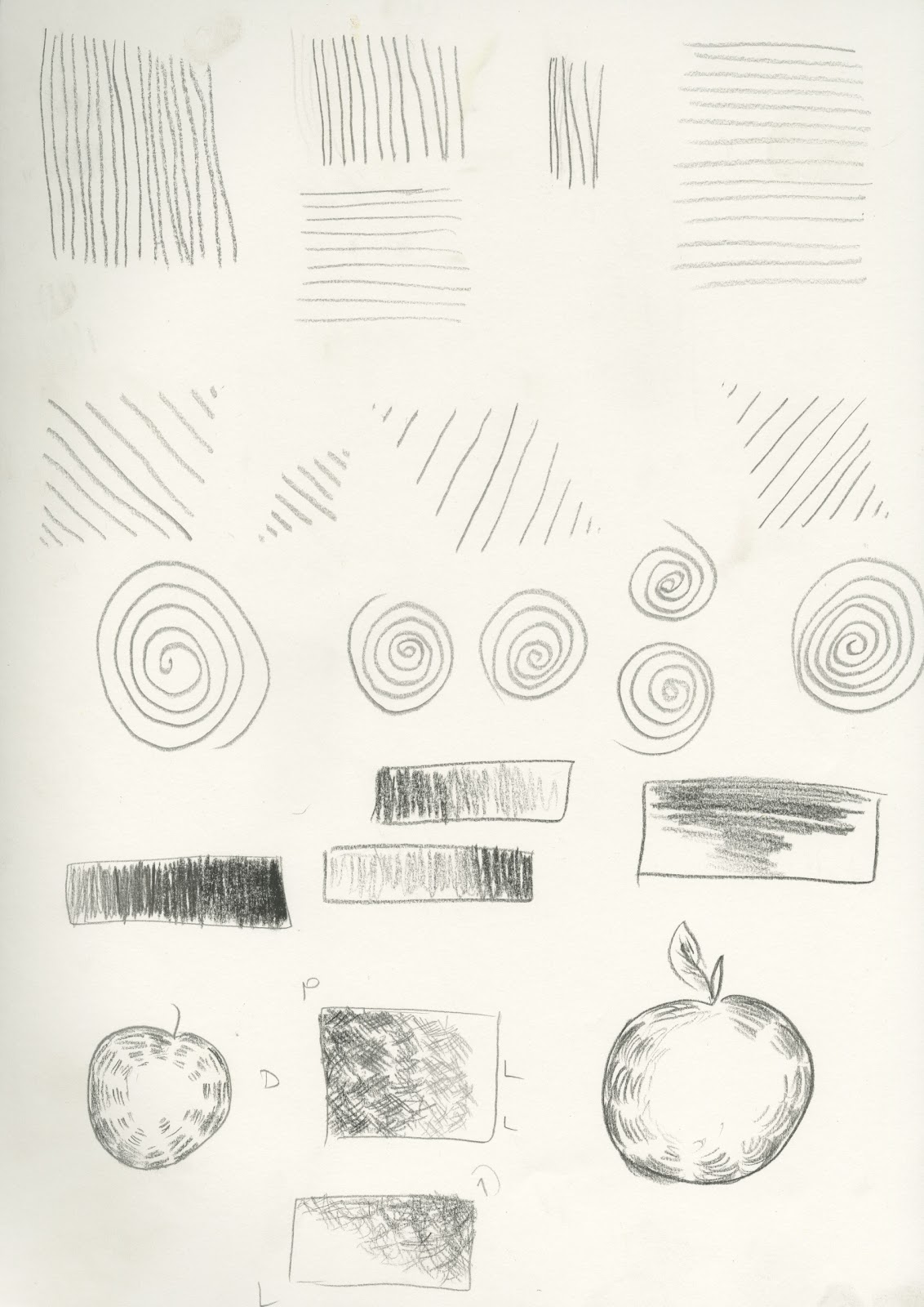 SarokZana O D: Week: 1 Simple Practice Drawing-Beginner Drwaing Session