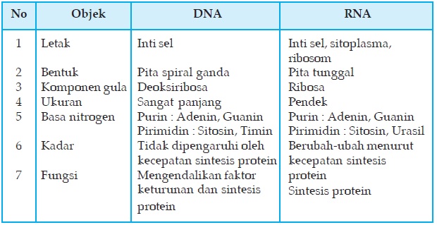 Perbedaan Dna Dan Rna Tabel Perbedaan - Riset