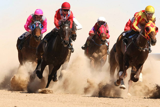 BIRDSVILLE RACES FROM AUSTRALIA!!