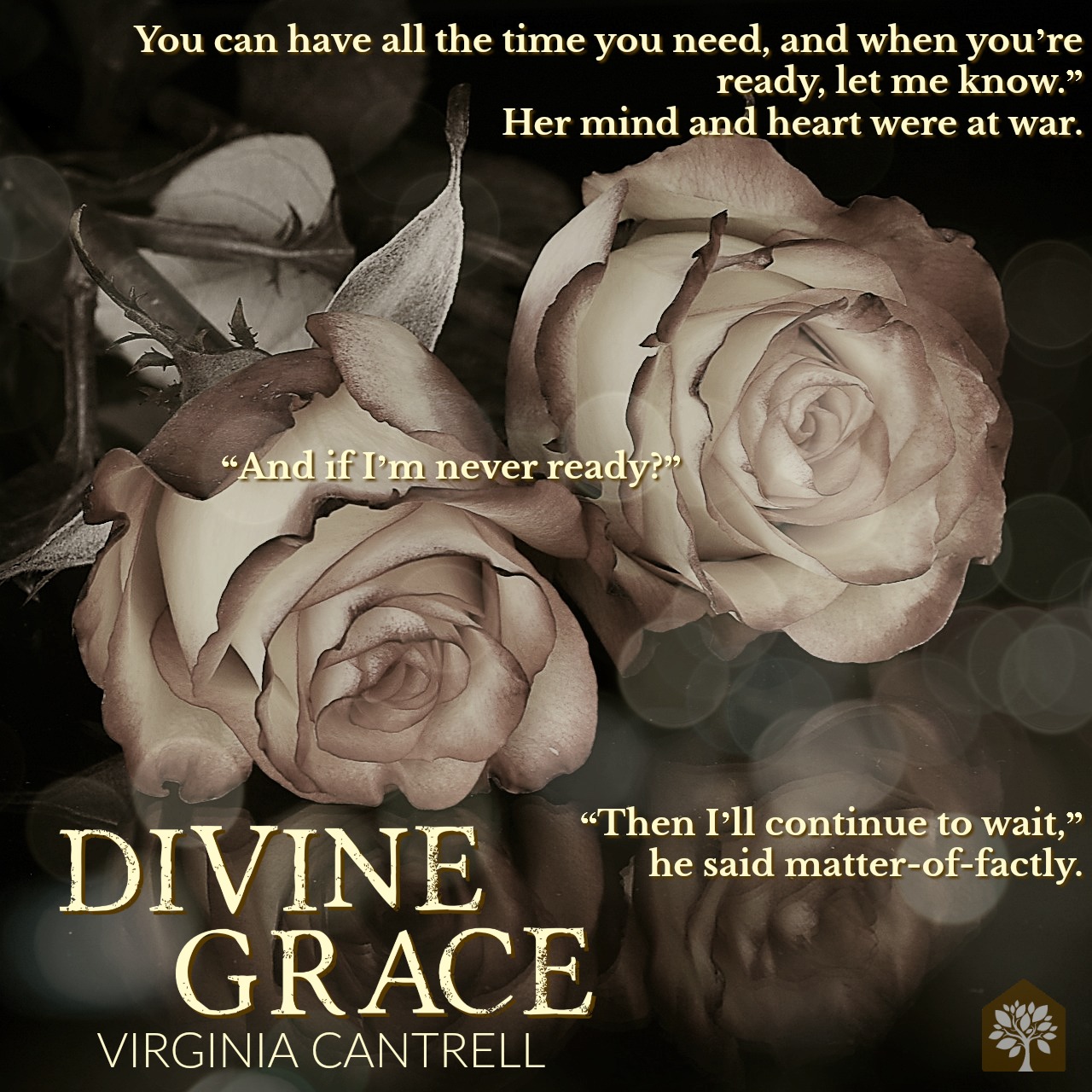 Carly's Cozy Corner: Blog Tour: Divine Grace by Virginia Cantrell