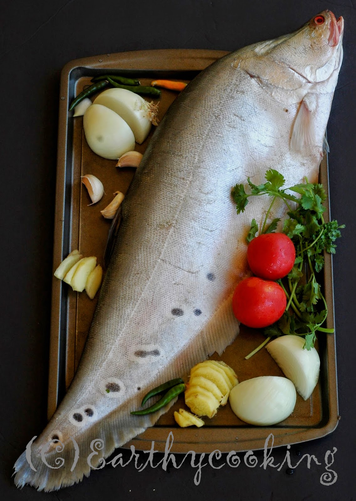 Earthycooking : চিতল মাছের পেটির কালিয়া (Chitol fish kalia)