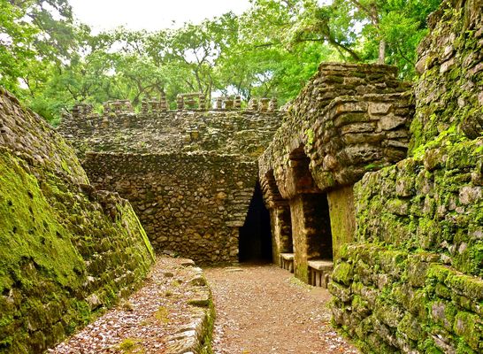 The Plumed Conch: Yaxchilan as Zarahemla