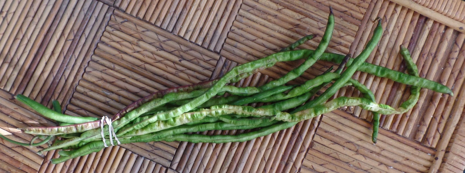 Blue Starr Gallery: Stir Fried Chinese Long Beans