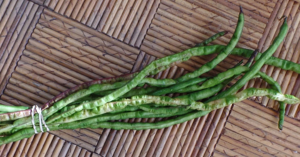 Blue Starr Gallery: Stir Fried Chinese Long Beans