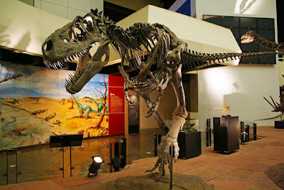 Amazing ! Dinosaur Fossils in Thailand