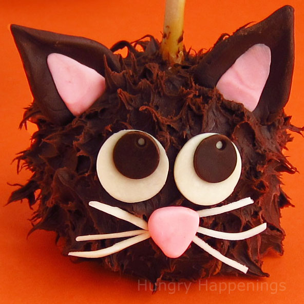 Chocolate Caramel Apple Cats - Hungry Happenings