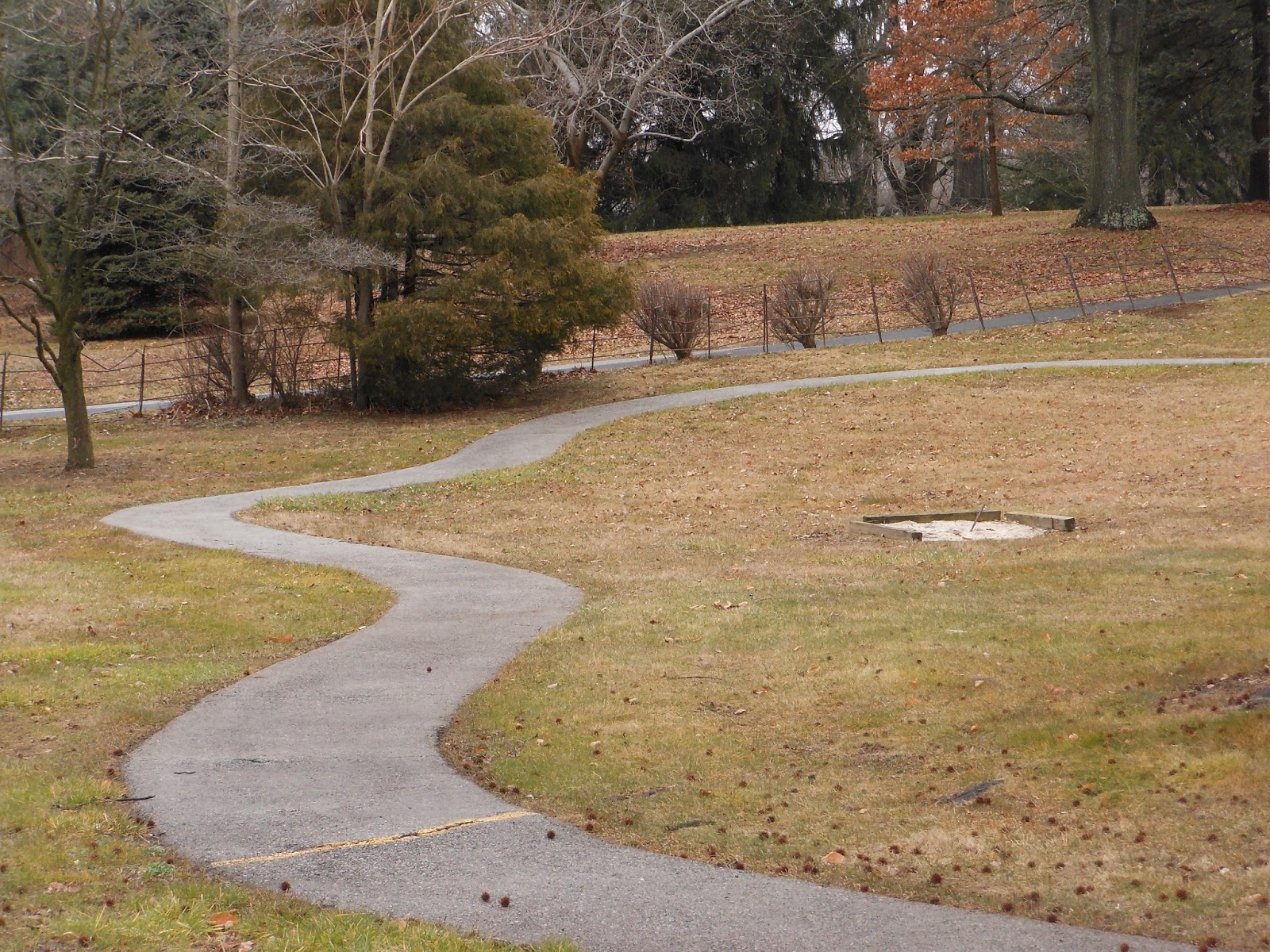 Foot Notes on Walking by David Macauley: Taking a Line (or a Curve) for ...