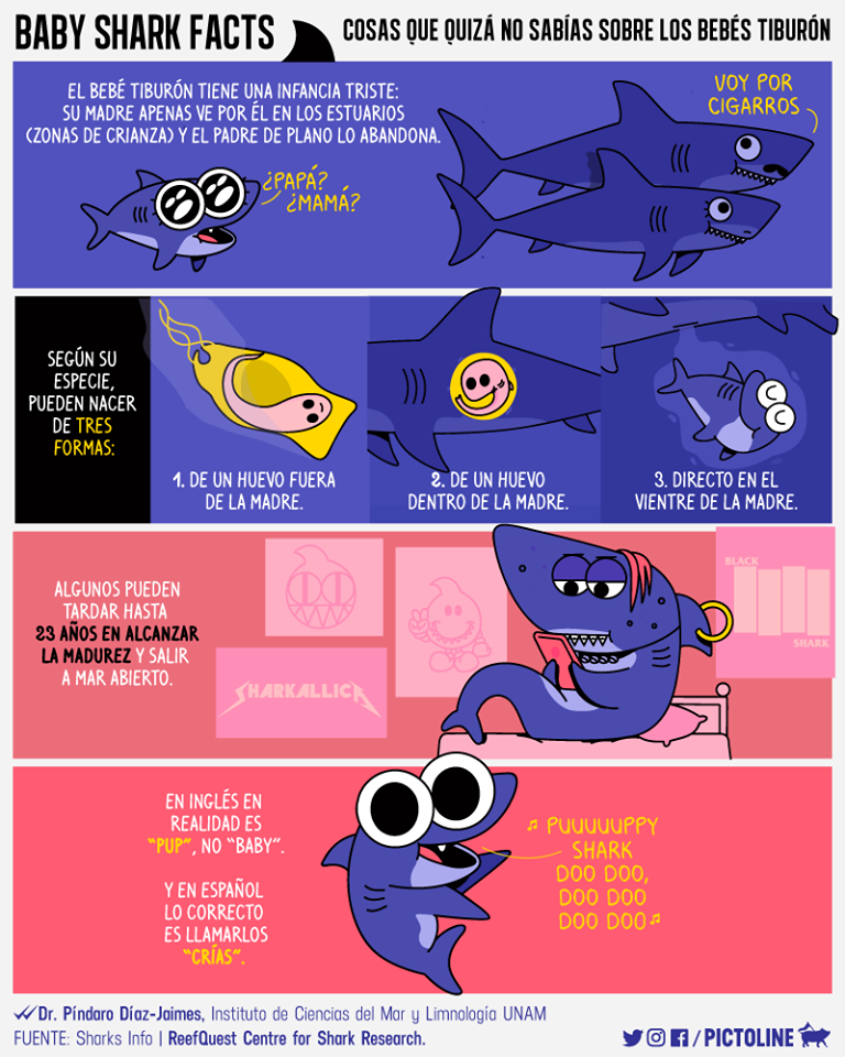 15 ejemplos de infografías Pictoline