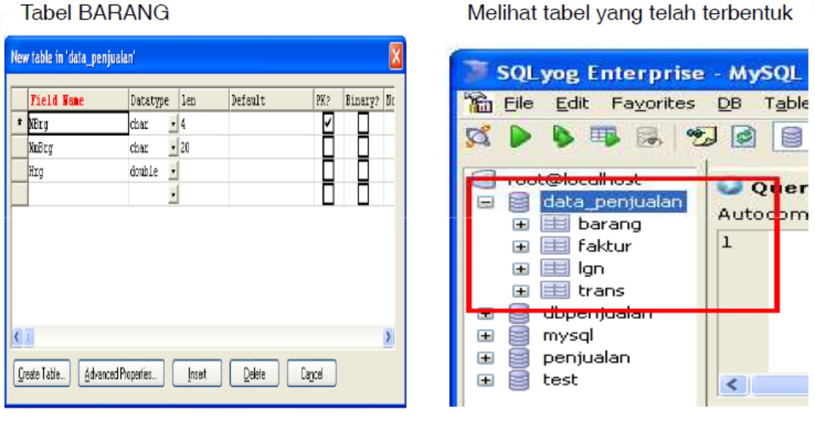 Implementasi Basis Data Menggunakan SQLYog (MySQL GUI) ~ Information Technology