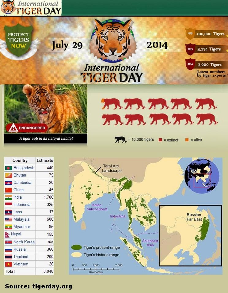Infographic – International Tiger Day | thegreenmarketoracle