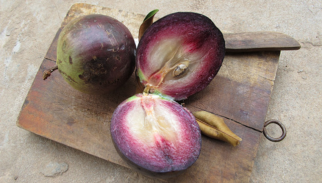 Fruits exotiques // - Tinn Patch Trip