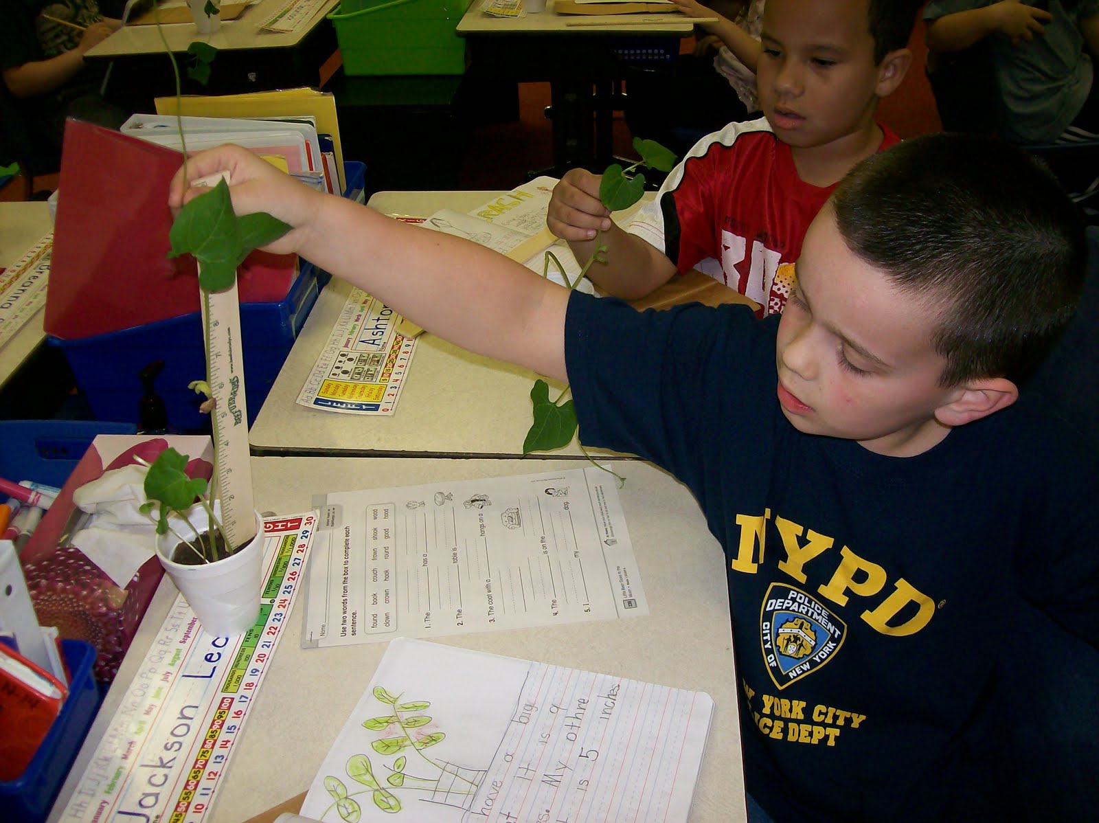 Booky4First: Measurement with Plants