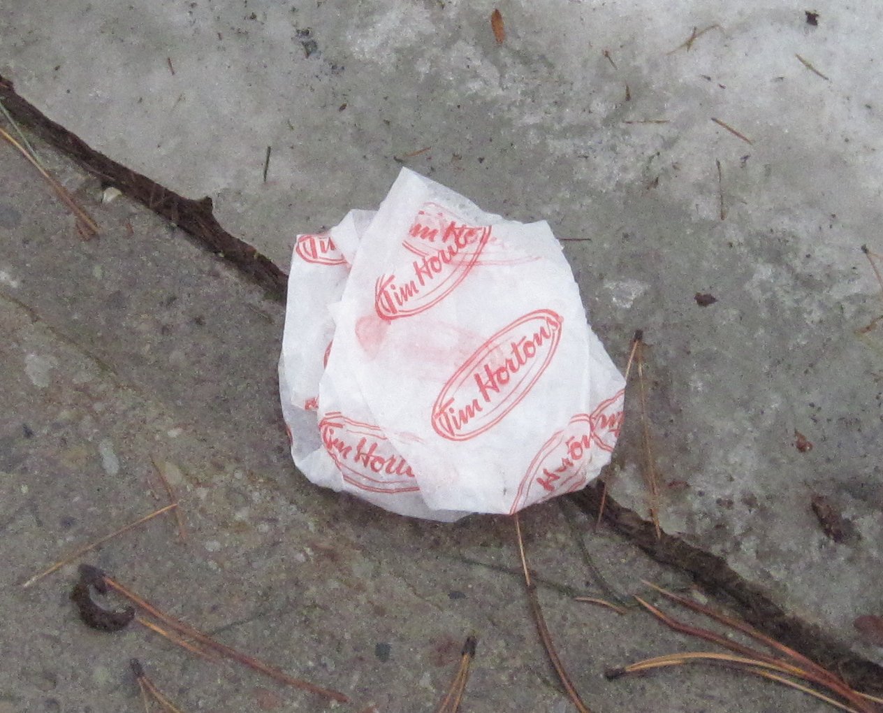 The Pigs of Tim Hortons