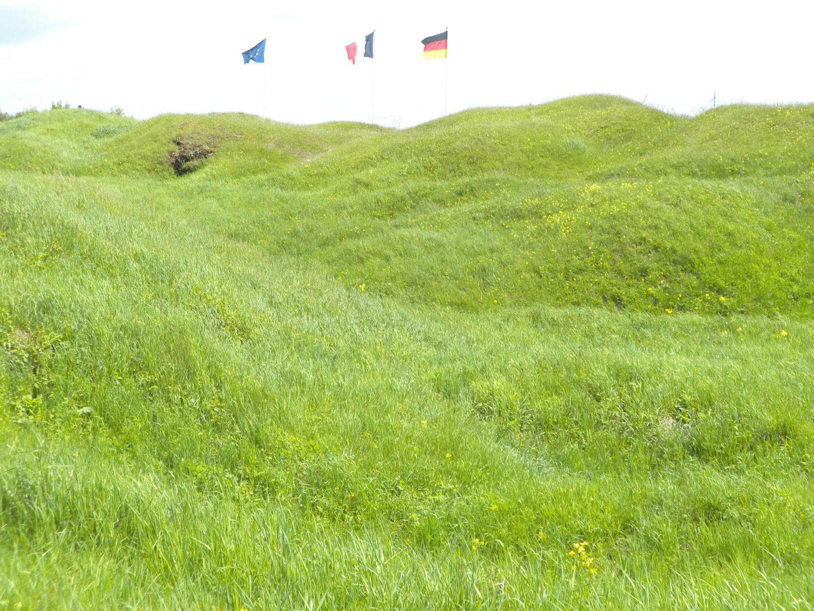 Catching the Trade Winds: The Scarred Landscape of Verdun