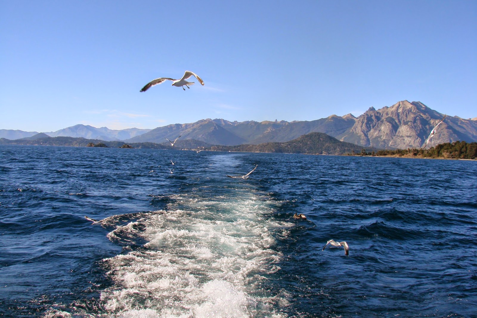 BARILOCHE EXPLORERS: VICTORIA ISLAND AND THE ARRAYANES FOREST