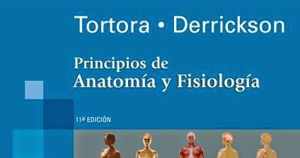 Medicina en PDF: Principios de Anatomía y Fisiología de Tortora ...
