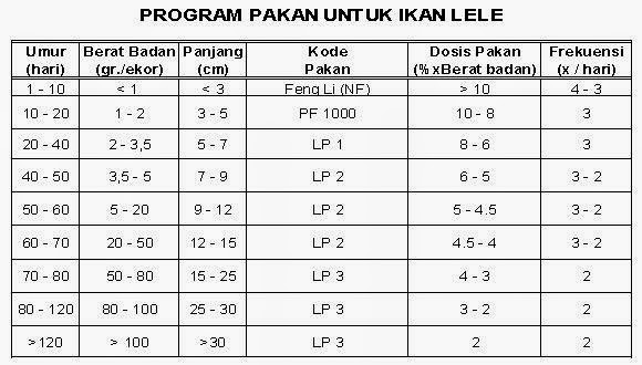 TABEL PORSI PAKAN IKAN LELE ~ TASURUN'S DIARY