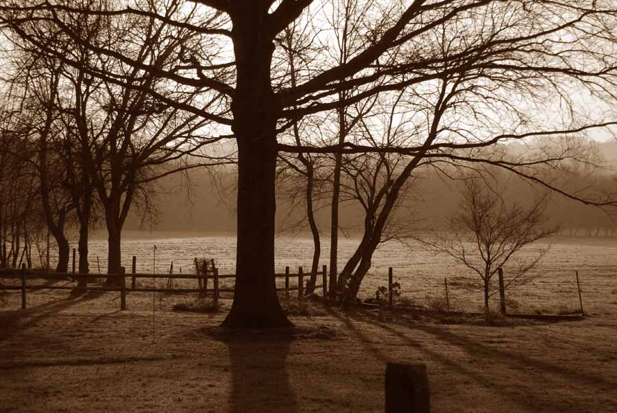 Lew's Other Pics: Sepia Scenes - Morning shadows