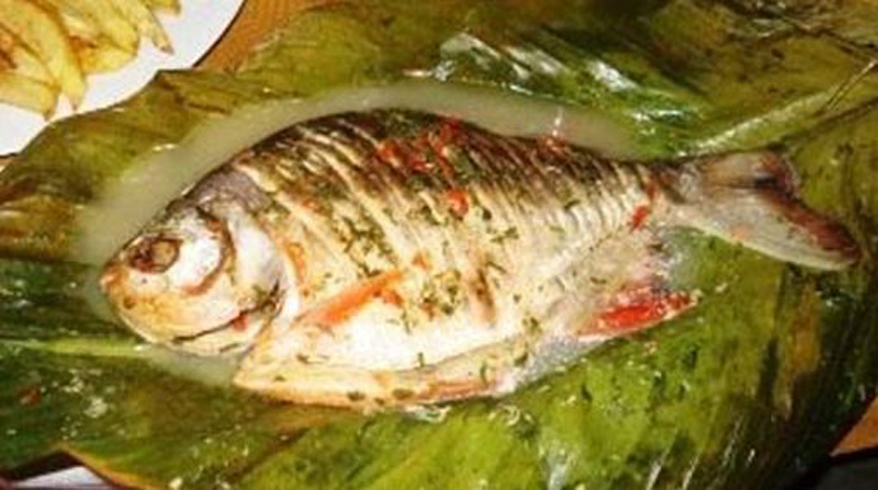 LA SELVA PERUANA: PLATOS Y BEBIDAS TIPICAS