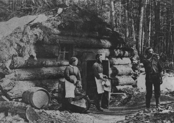 1800 S Logging Photos