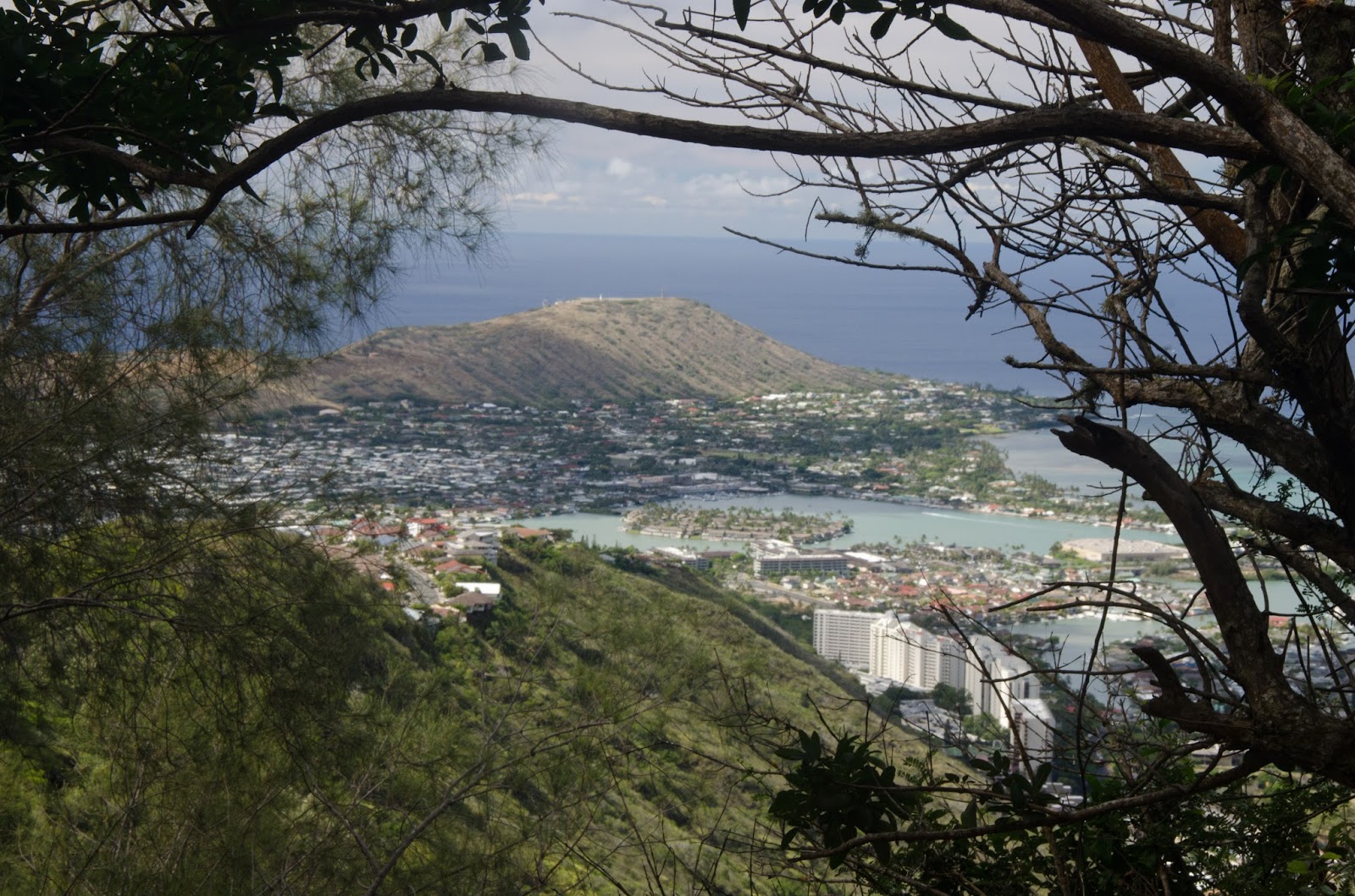 Haole Hiking: Mariner's Ridge:The Adventures of Staley the Dog