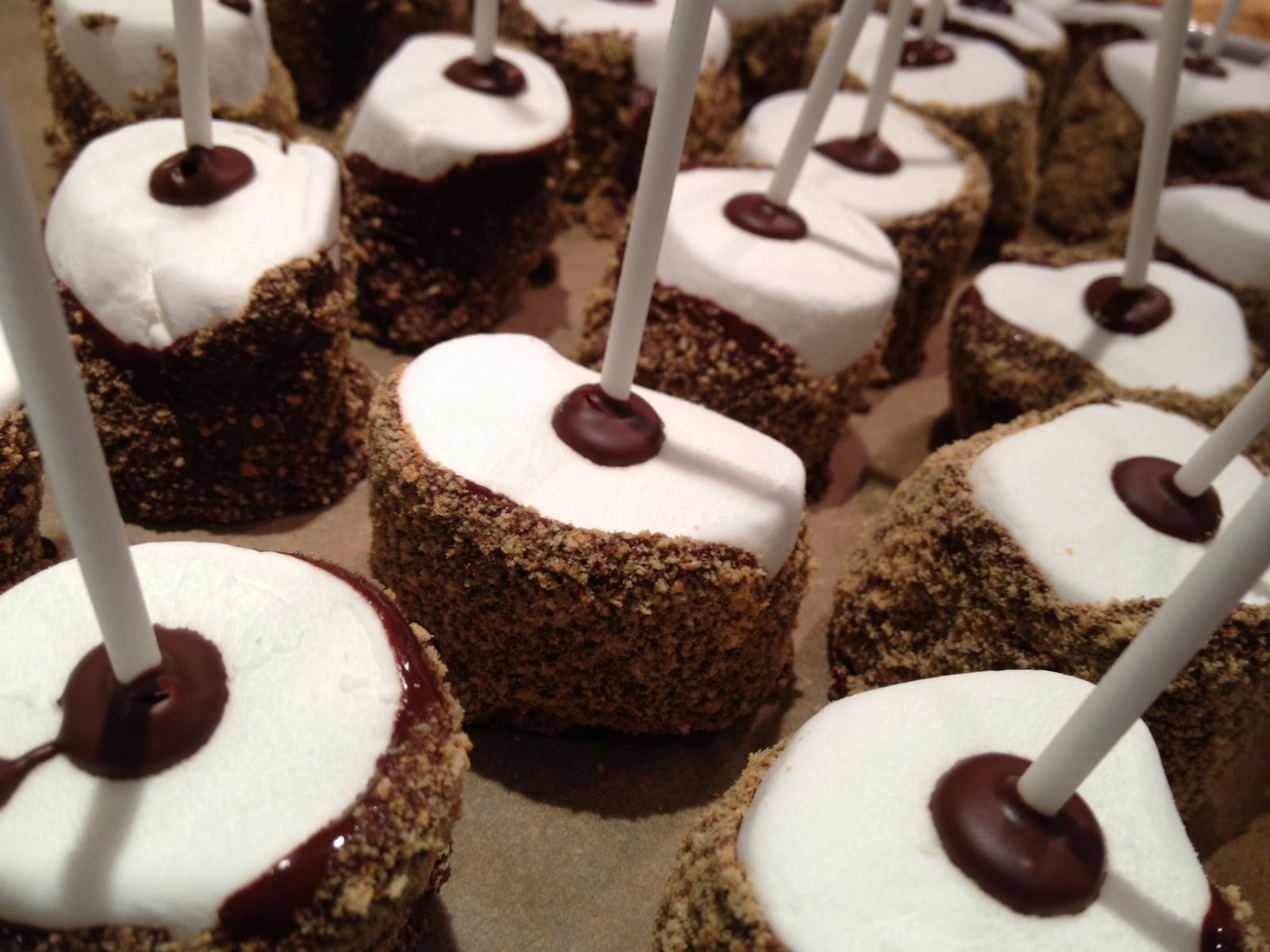 The Full Plate Blog: s'mores on a stick {and ideas for a wilderness ...